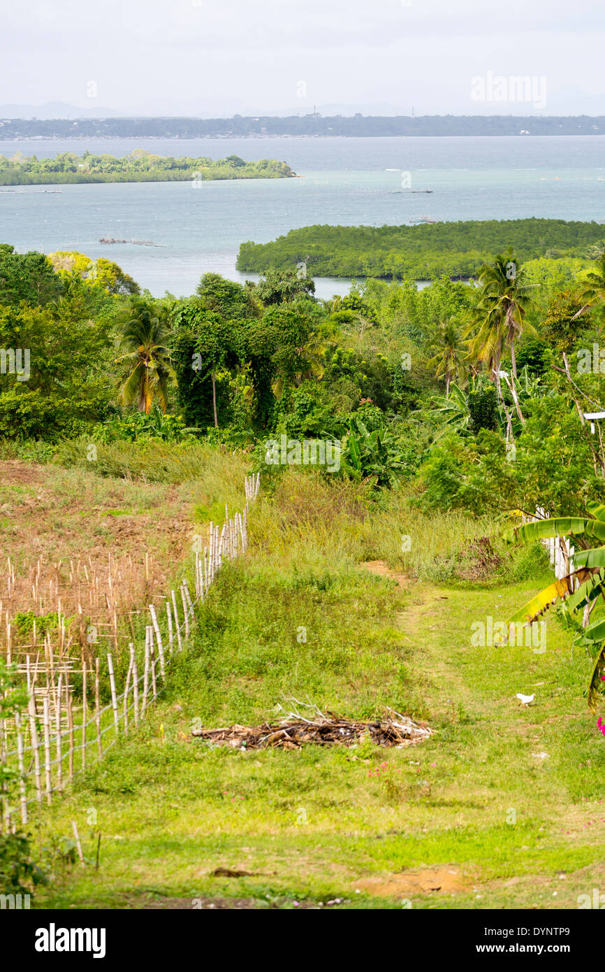 Rural Landscape in Puerto Princesa, Palawan, Philippines Stock Photo ...