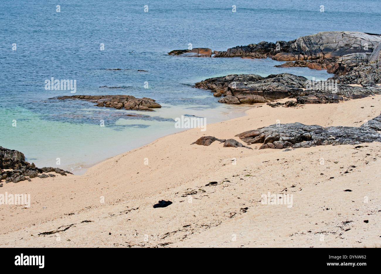 Beautiful coral islands hi-res stock photography and images - Alamy