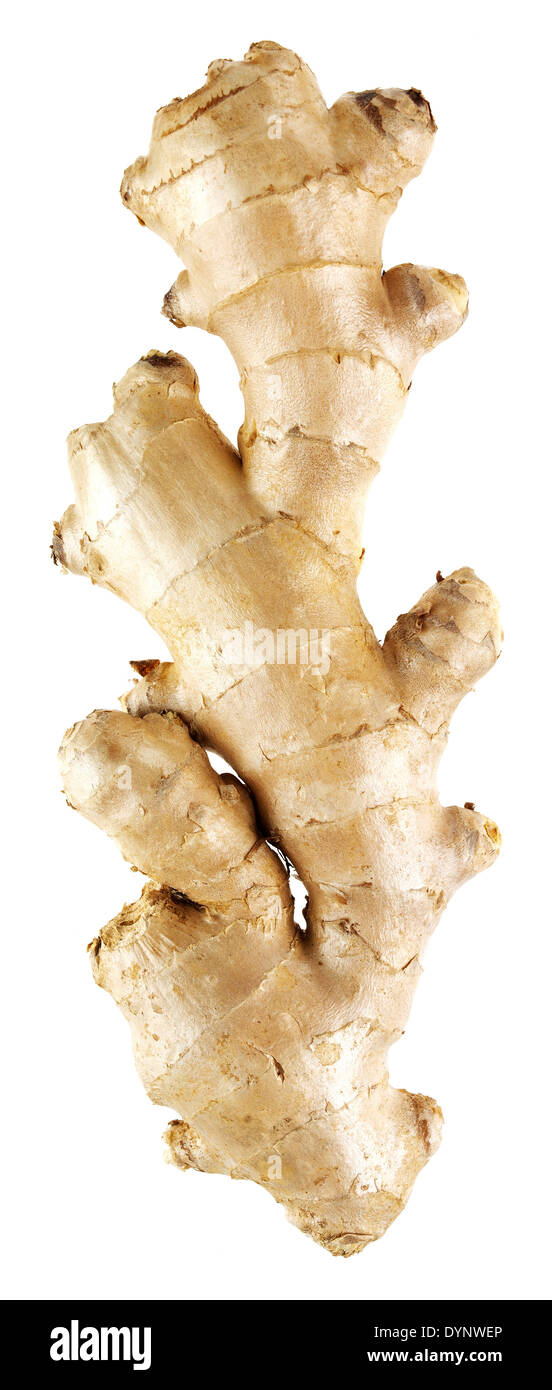 Ginger flavouring Cut Out Stock Images & Pictures - Alamy