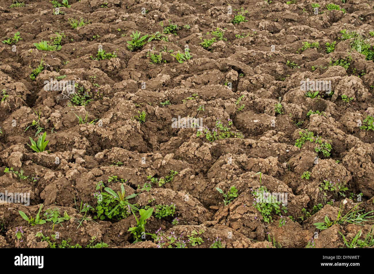 Dug out soil Stock Photo - Alamy