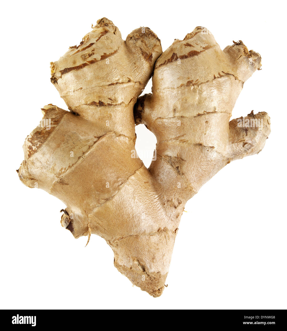 Native ginger hi-res stock photography and images - Alamy