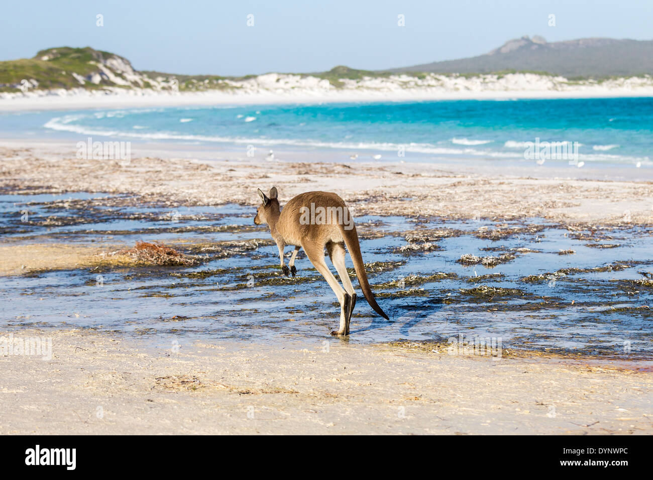 Cape le grande national park hi-res stock photography and images - Alamy