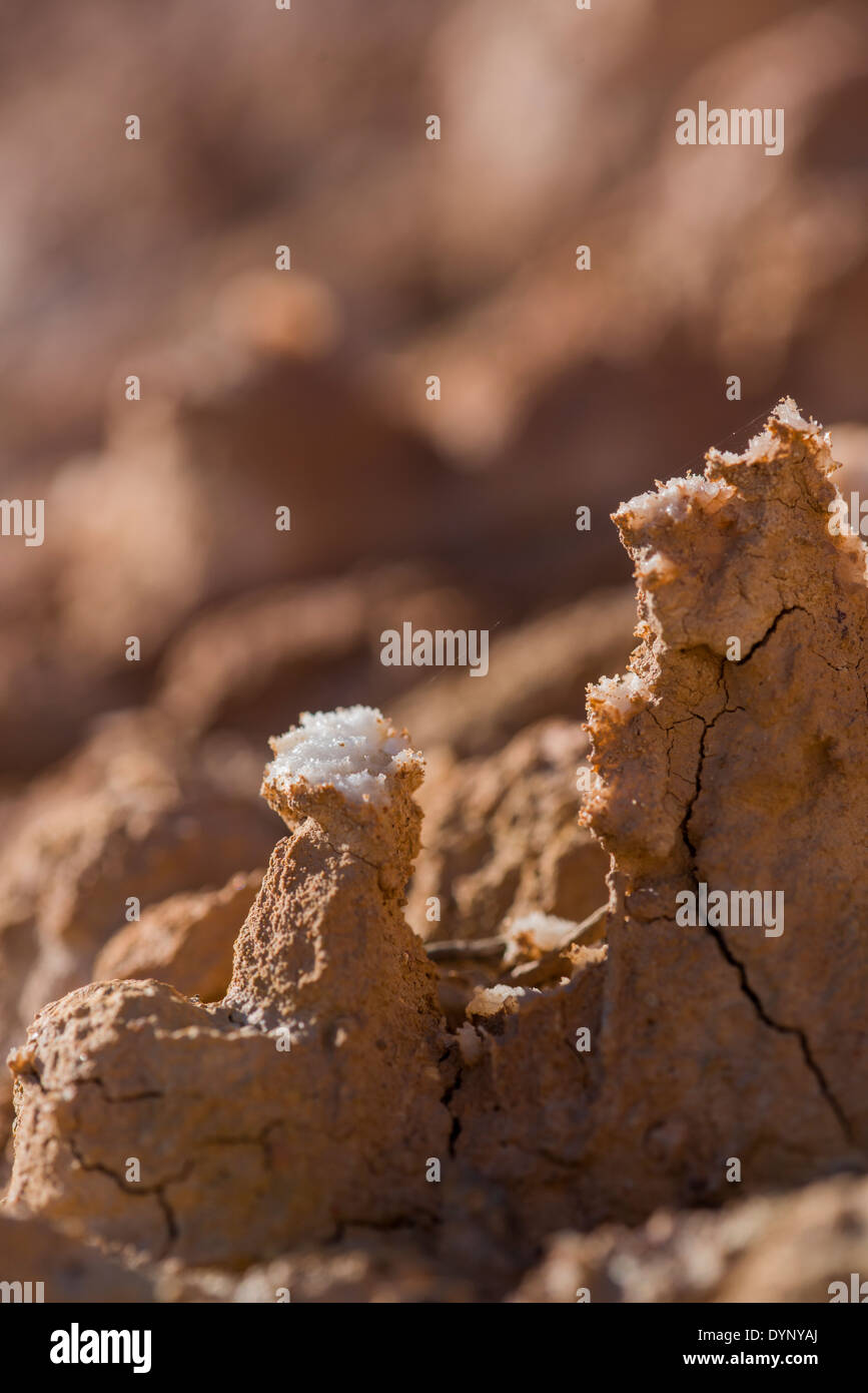 At a few centimeters scale, saltish clay grounds can be eroded by ...