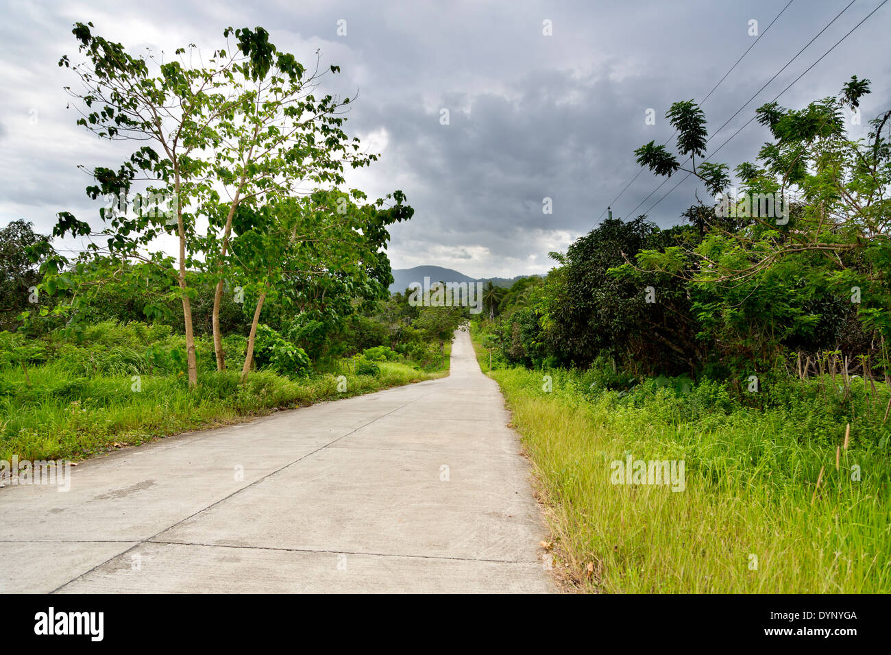 Rural Country Road in Puerto Princesa, Palawan, Philippines Stock Photo ...