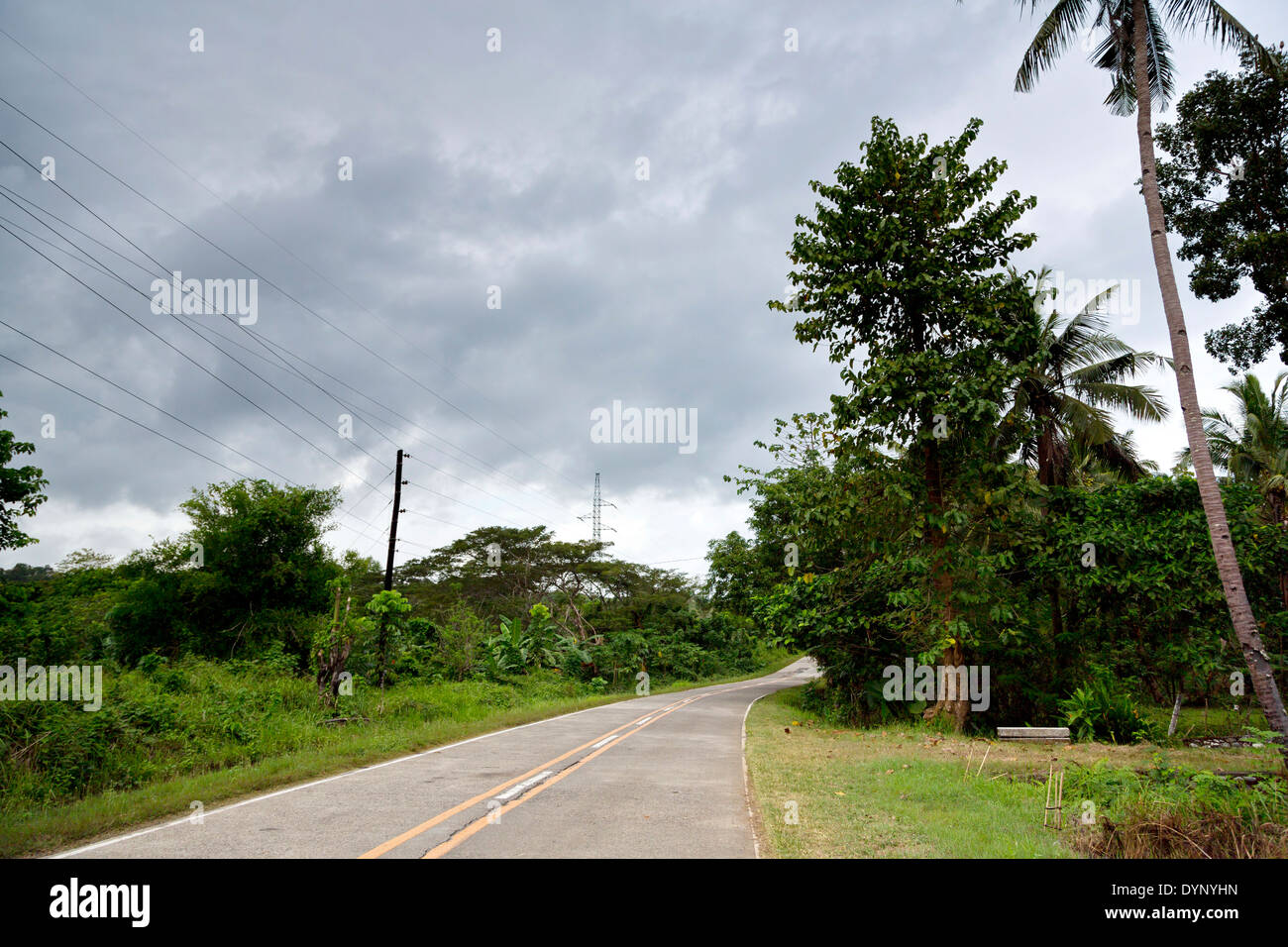 Rural Country Road in Puerto Princesa, Palawan, Philippines Stock Photo ...