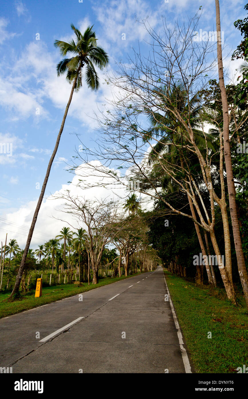 Rural Country Road in Puerto Princesa, Palawan, Philippines Stock Photo ...