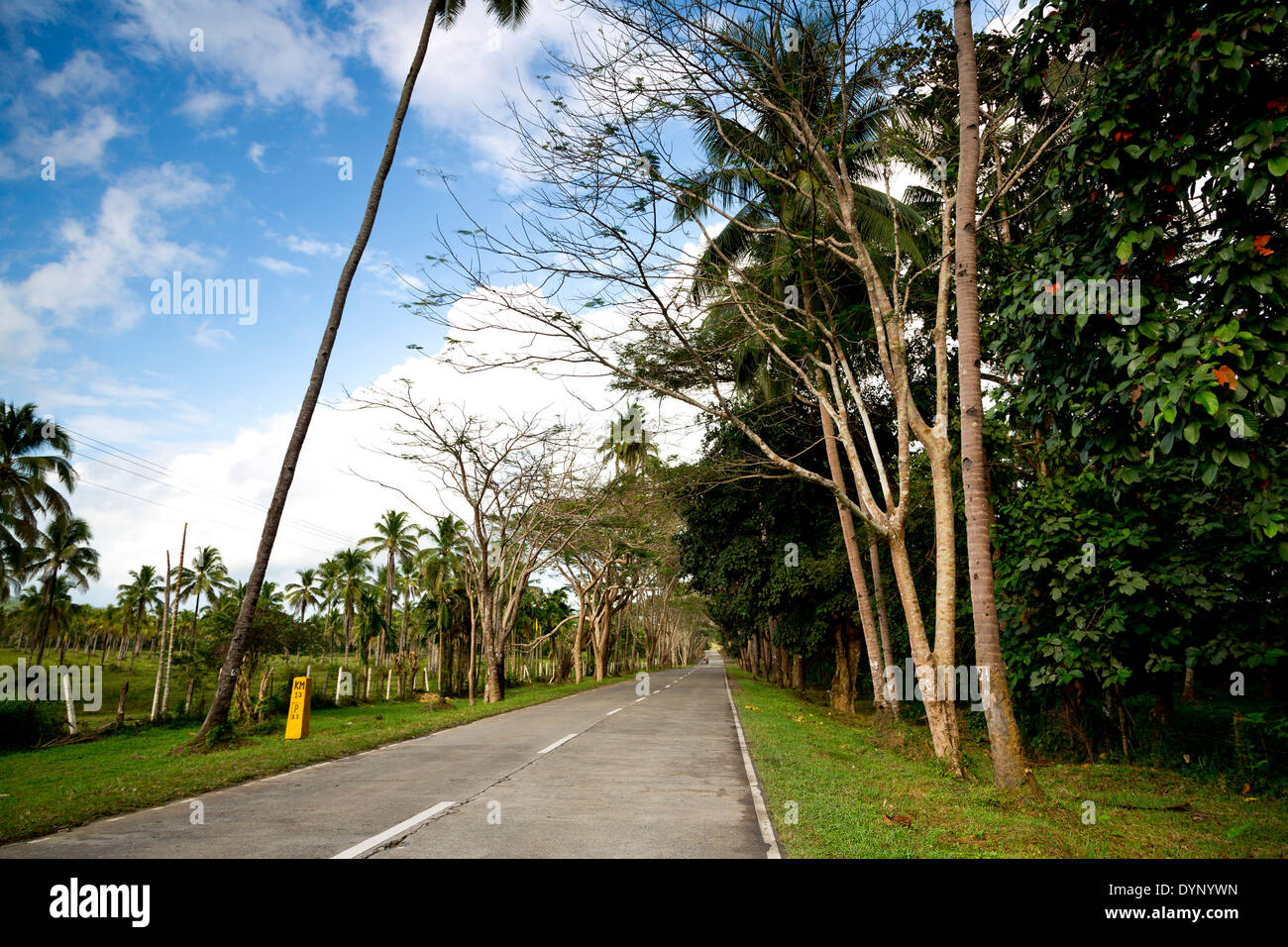 Rural Country Road in Puerto Princesa, Palawan, Philippines Stock Photo ...