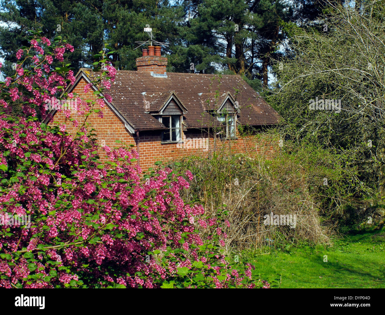 A rural cottage, Shropshire, England, UK Stock Photo - Alamy