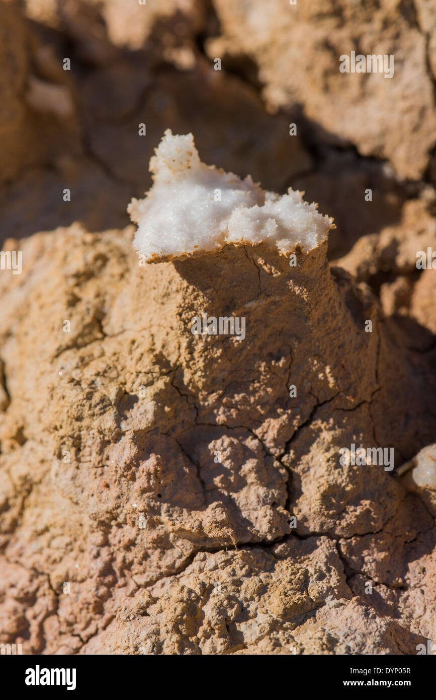 At a few centimeters scale, saltish clay grounds can be eroded by ...