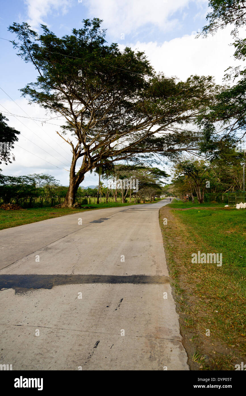 Rural Country Road in Puerto Princesa, Palawan, Philippines Stock Photo ...