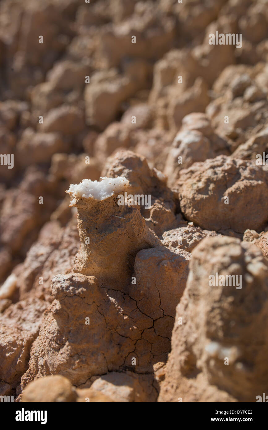 At a few centimeters scale, saltish clay grounds can be eroded by ...