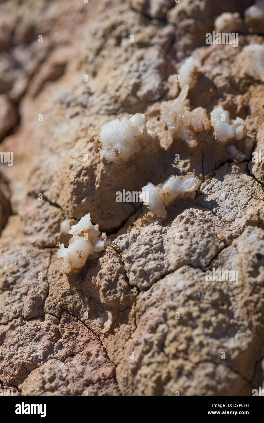 At a few centimeters scale, saltish clay grounds can be eroded by ...