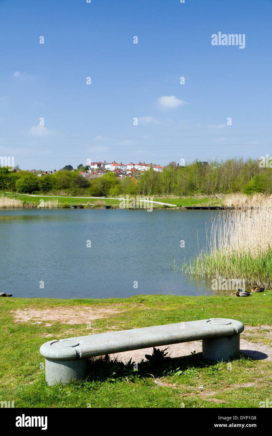 Lamby lake hi-res stock photography and images - Alamy