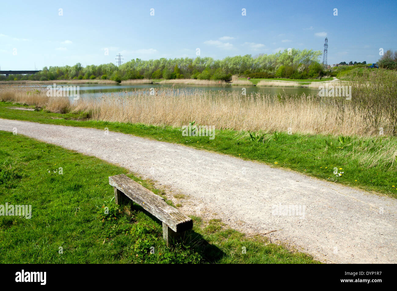 Lamby Lake, Tredelerch Park, Lamby Way, Cardiff, South Wales Stock ...