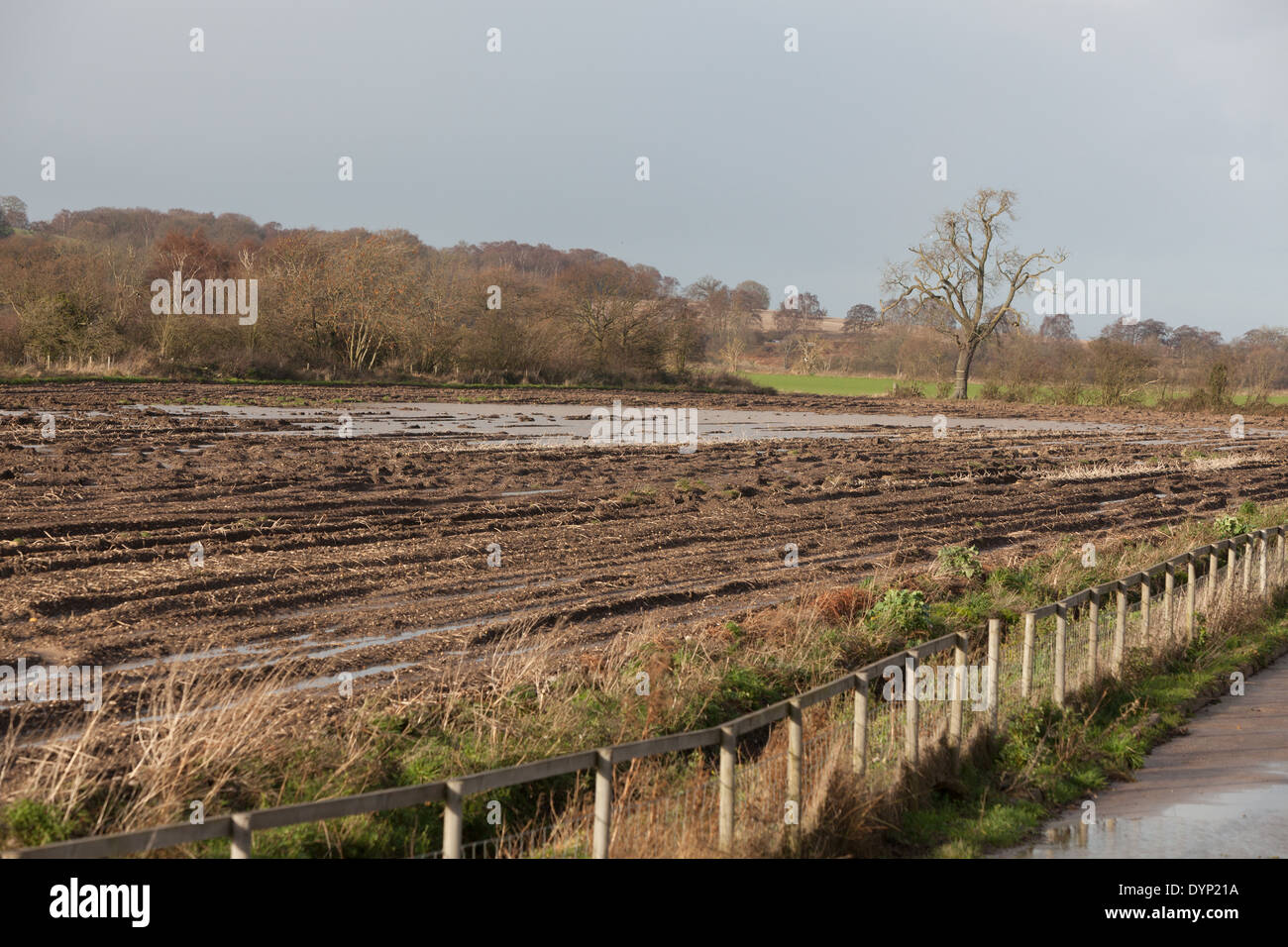 Waterlogged farmland in the Midlands after a very wet winter in January ...