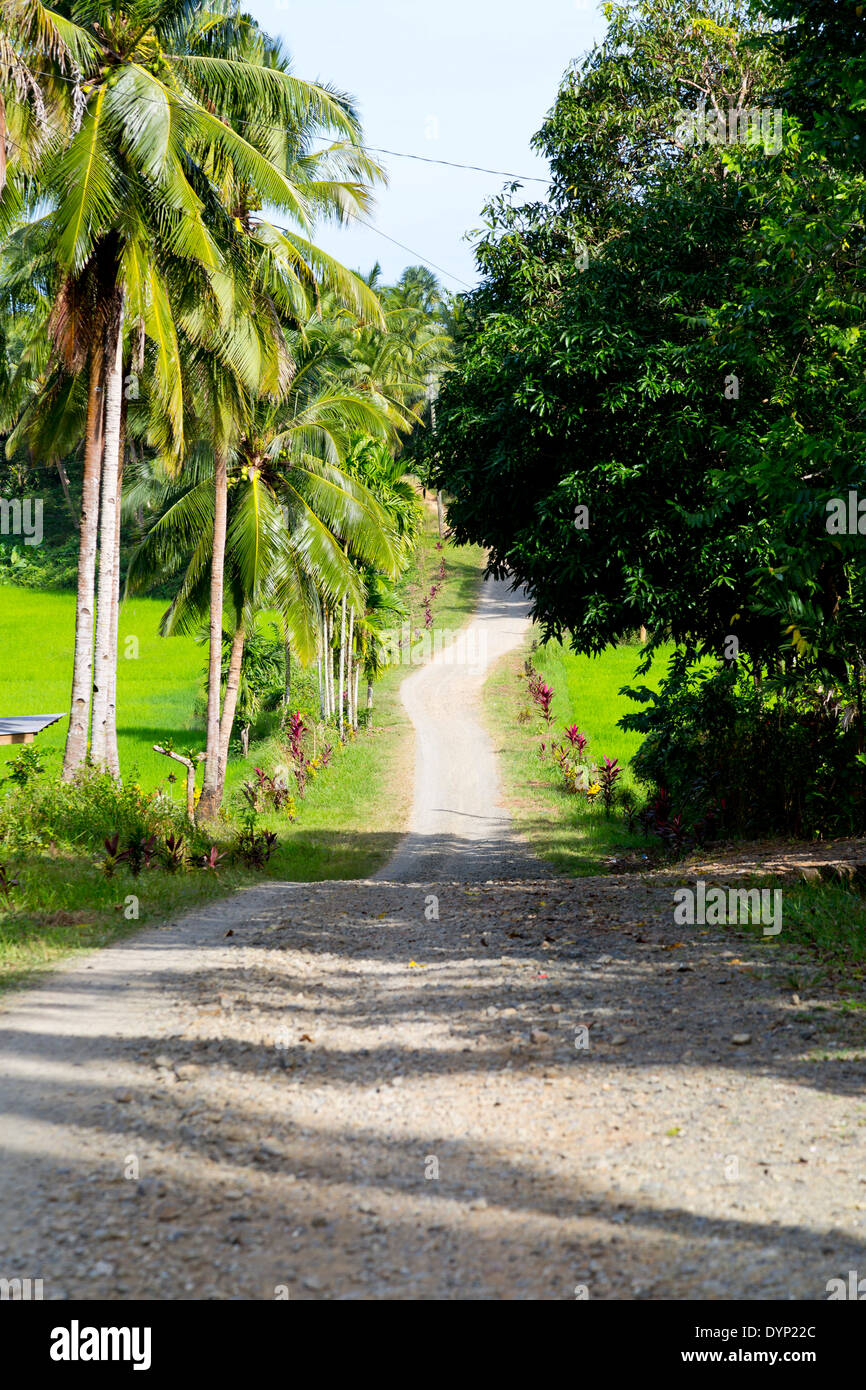 Rural Country Road in Puerto Princesa, Palawan, Philippines Stock Photo ...