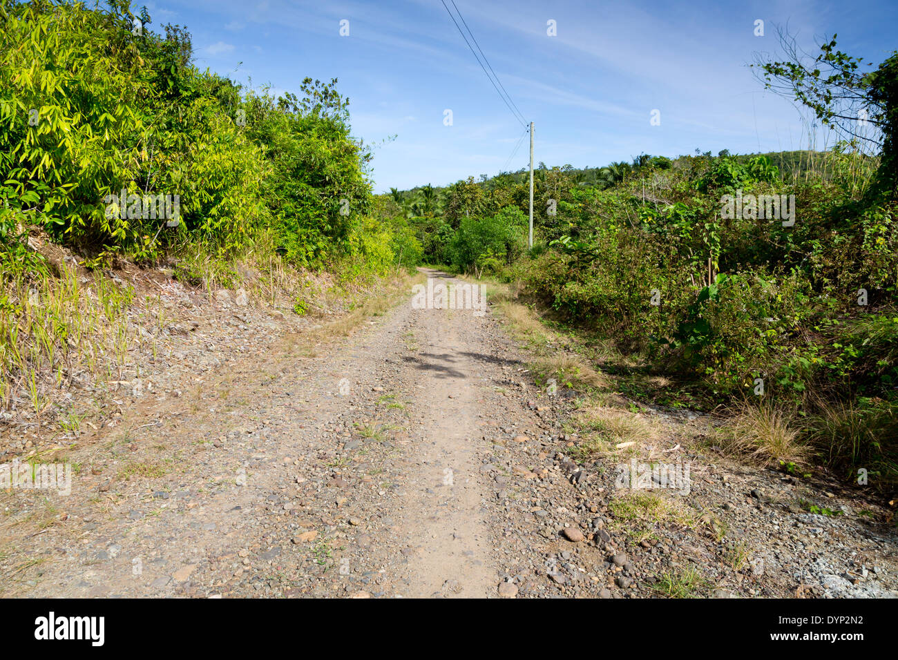 Rural Country Road in Puerto Princesa, Palawan, Philippines Stock Photo ...