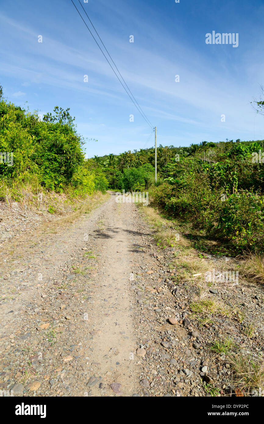 Rural Country Road in Puerto Princesa, Palawan, Philippines Stock Photo ...