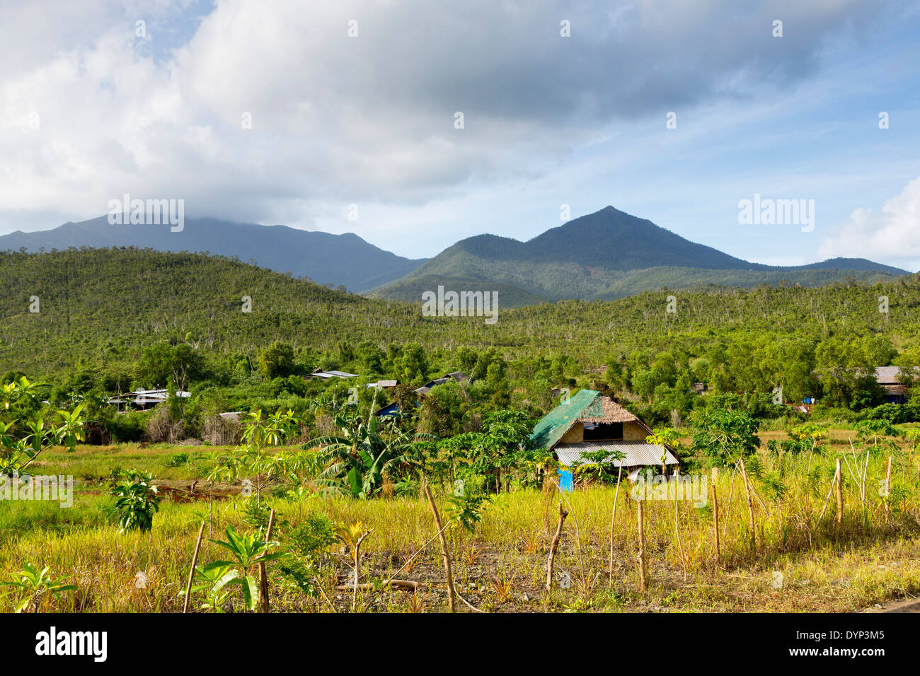Rural Landscape in Puerto Princesa, Palawan, Philippines Stock Photo ...