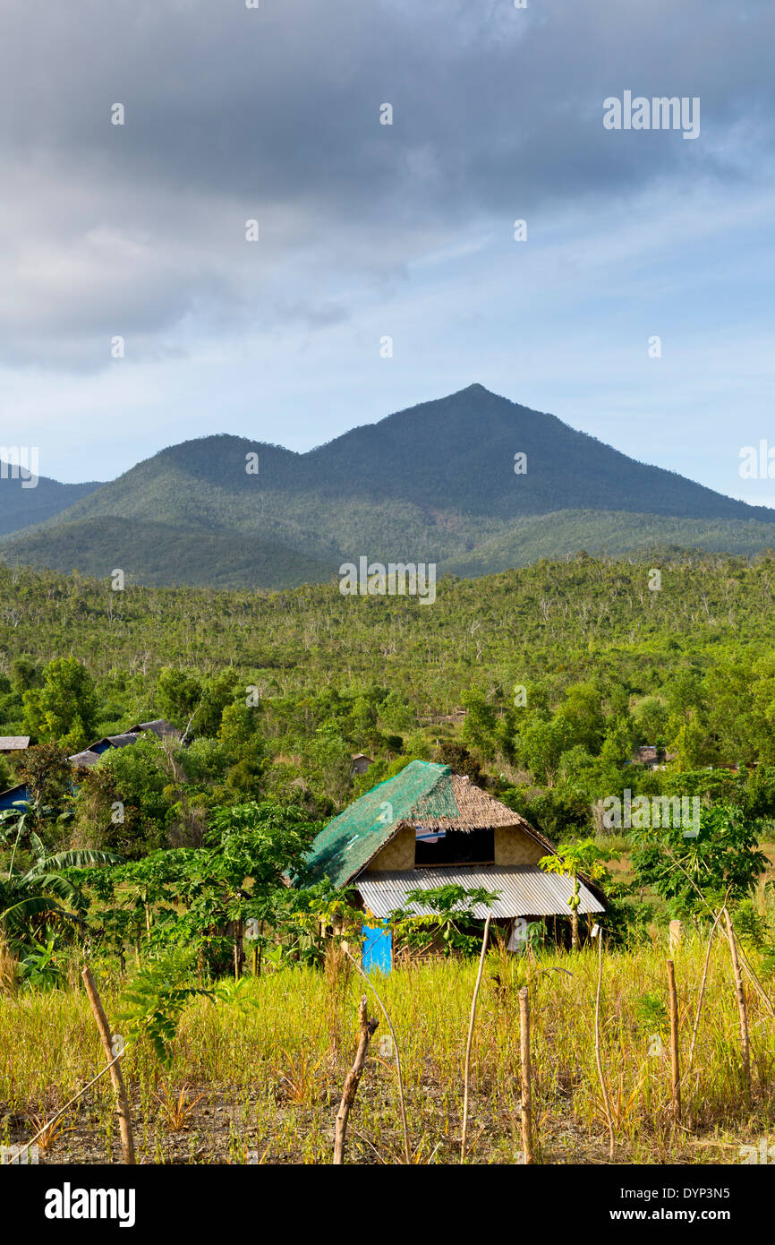 Rural Landscape in Puerto Princesa, Palawan, Philippines Stock Photo ...