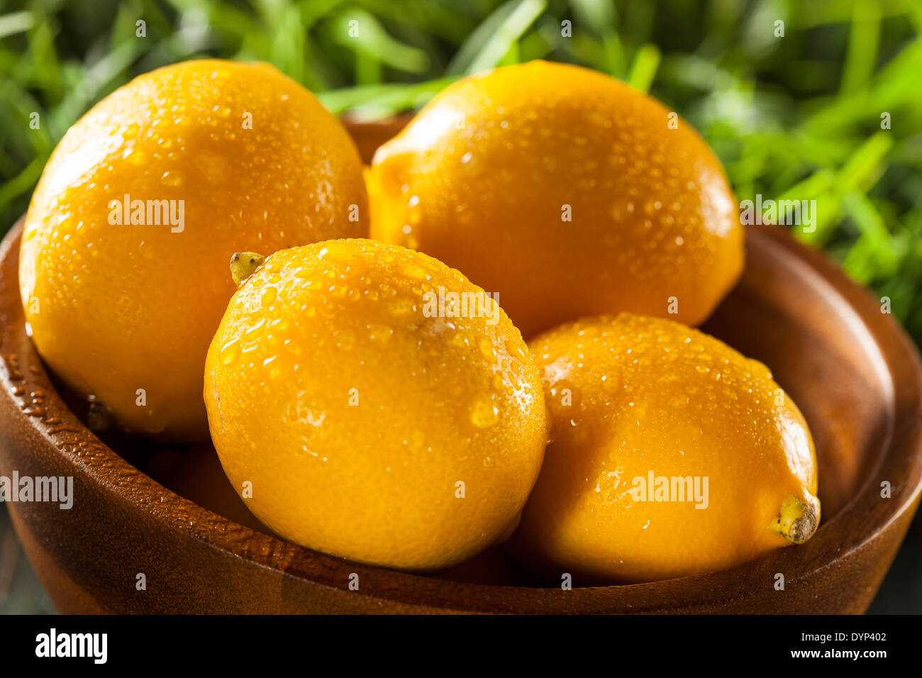 Organic Yellow Citrus Lemons on a Background Stock Photo - Alamy