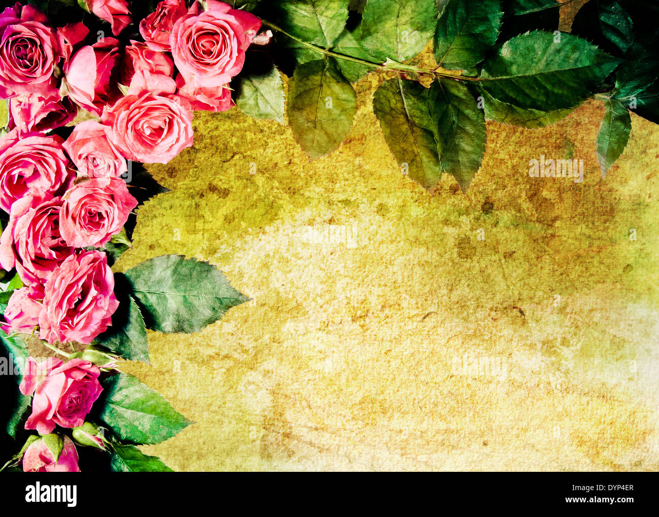 Vintage rose frame on distressed watercolour background. Great as a ...