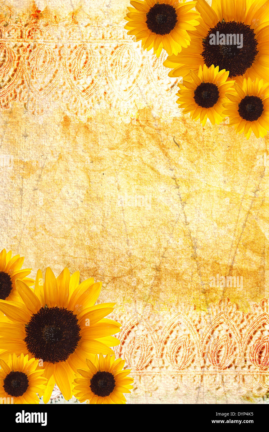 Vintage, distressed sunflower frame with lace borders. Summer concept ...