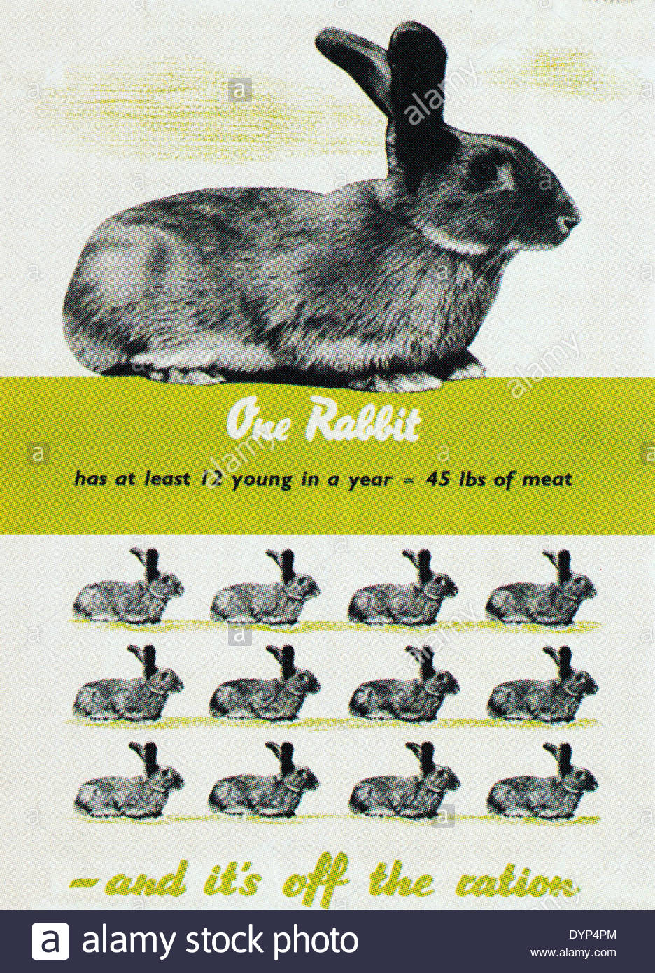 Food Shortage Stock Photos & Food Shortage Stock Images - Alamy