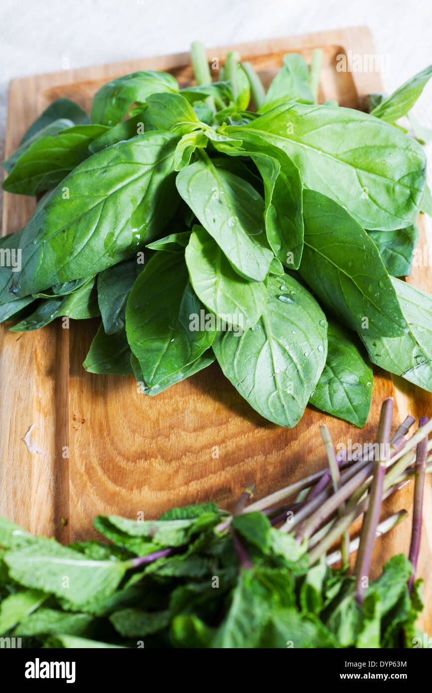 Fresh basil from the vegetable garden, ready to be used Stock Photo - Alamy