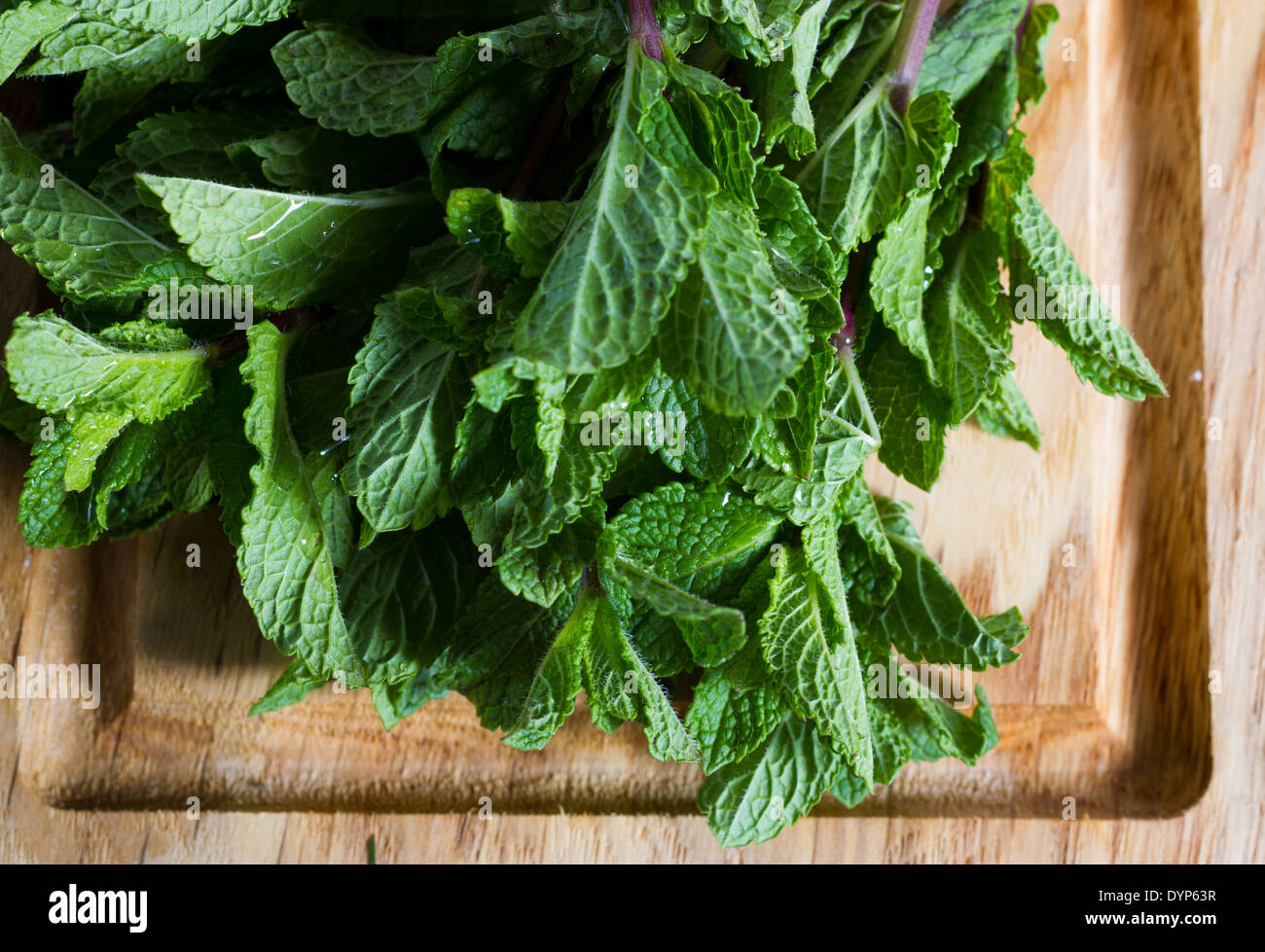 Fresh mint from the vegetable garden, ready to be used Stock Photo - Alamy