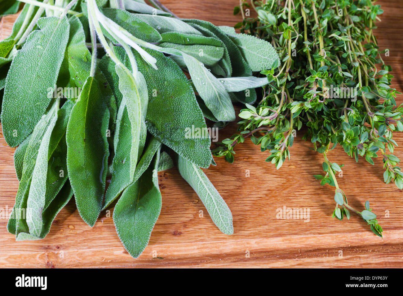 Fresh sage and thyme from the vegetable garden, ready to be used Stock ...