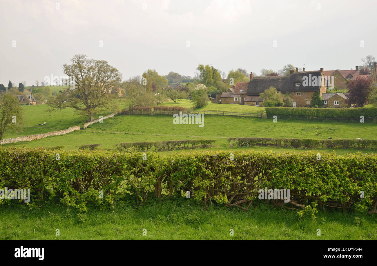 Village upper harlestone northamptonshire hi-res stock photography and ...