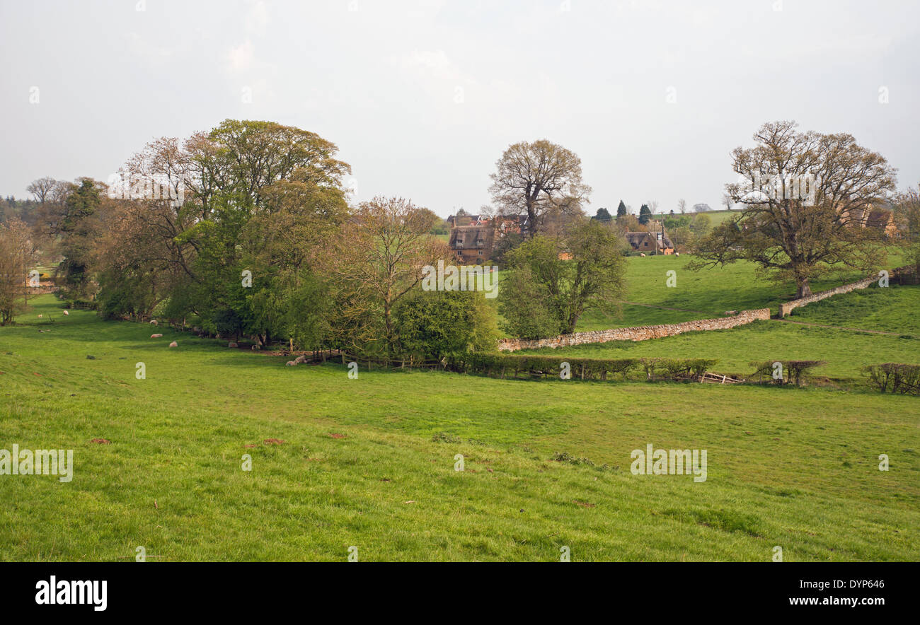 Upper harlestone hi-res stock photography and images - Alamy