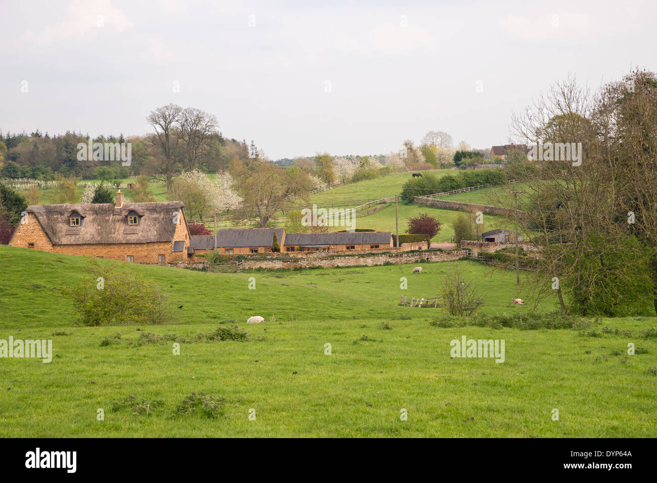 Upper harlestone hi-res stock photography and images - Alamy