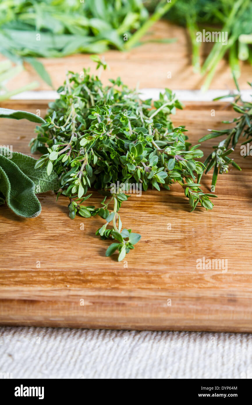Fresh thyme from the vegetable garden, ready to be used Stock Photo - Alamy