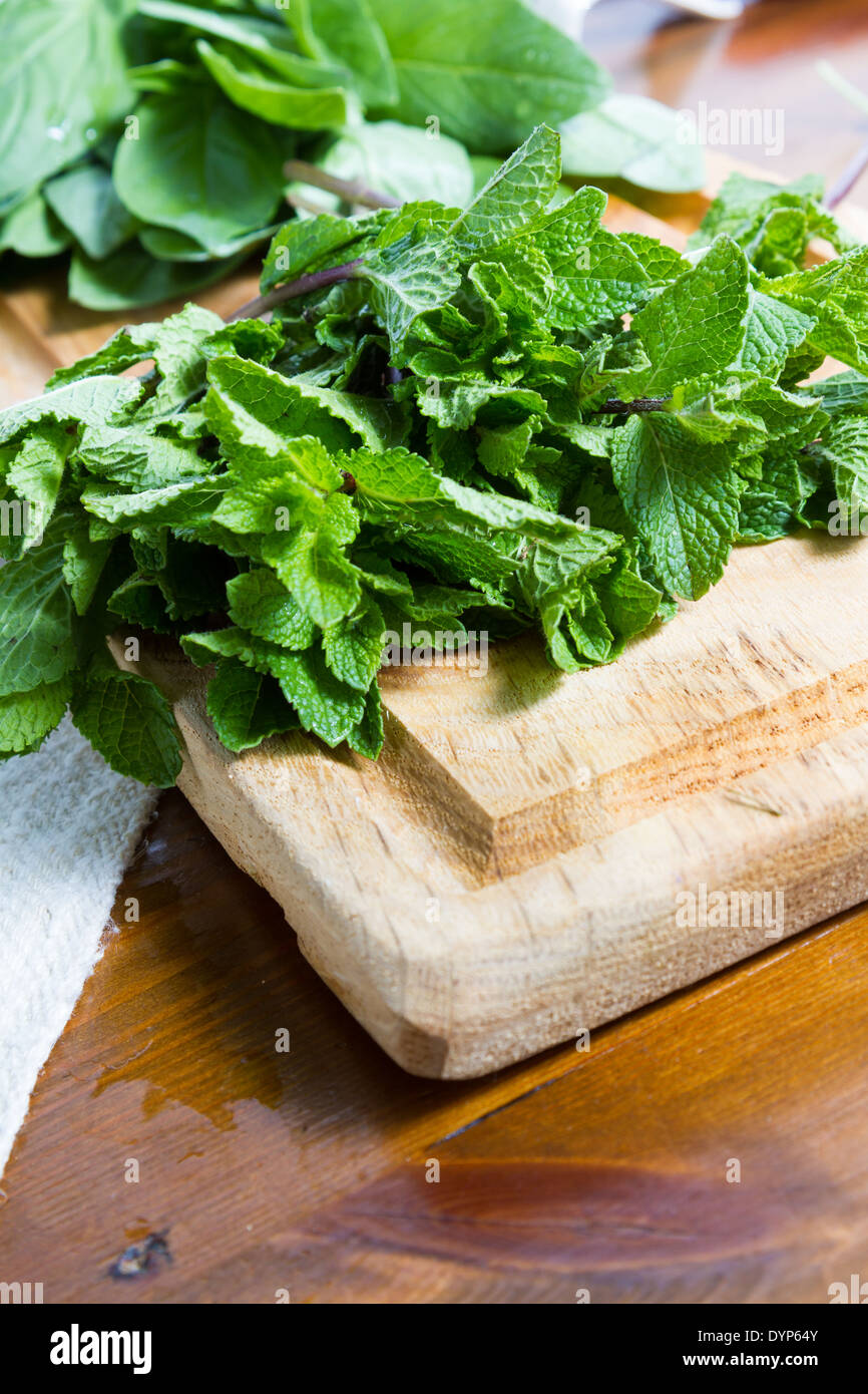 Fresh mint from the vegetable garden, ready to be used Stock Photo - Alamy