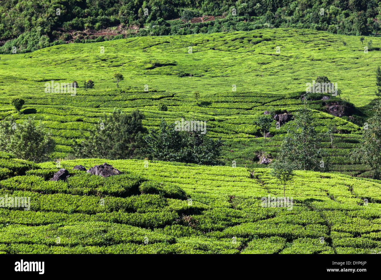 Beautiful scenery wallpapers hi-res stock photography and images - Alamy