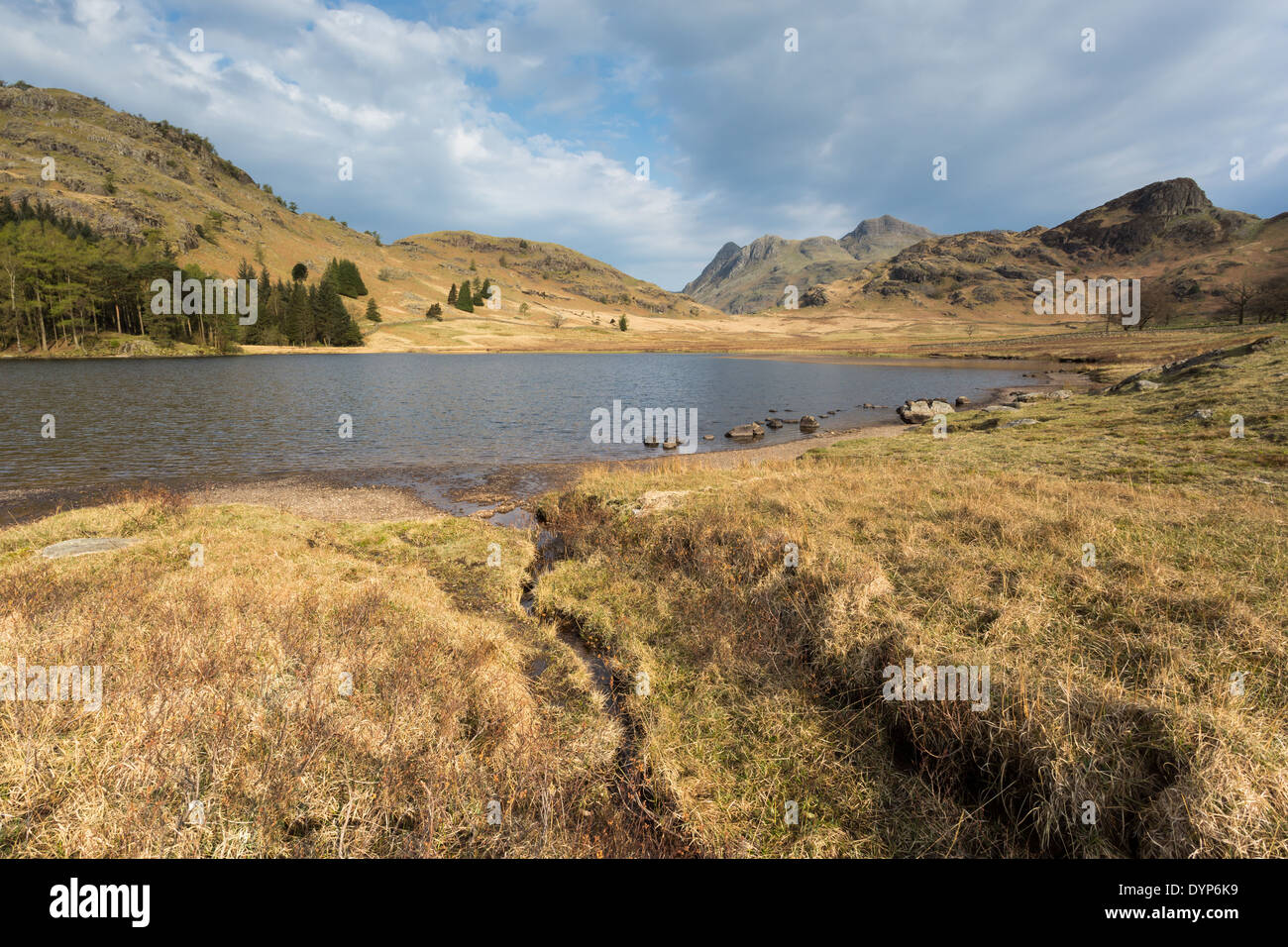 A near perfect reflection of the Langale Pikes and Side Pike in Blea ...