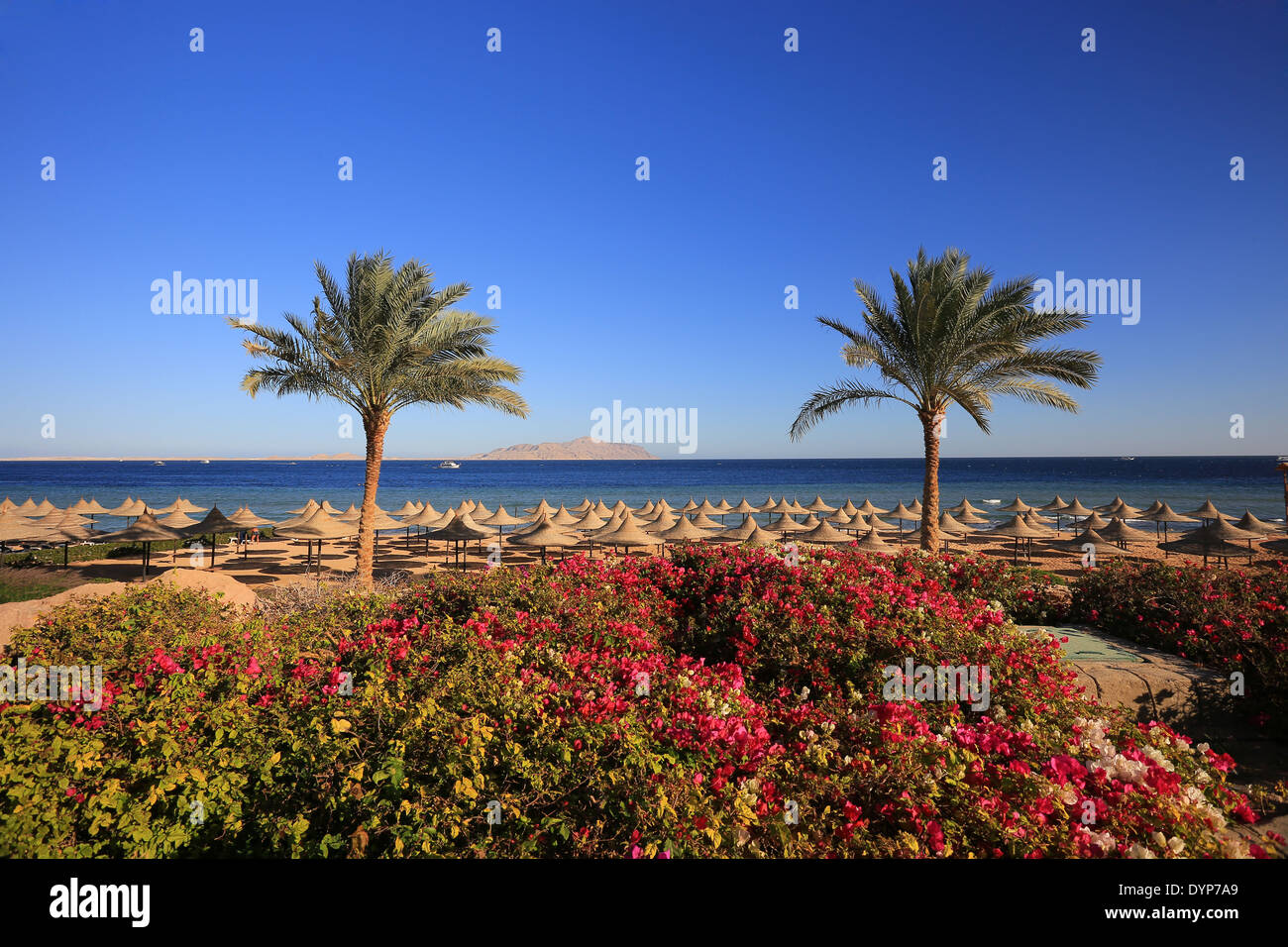 Sharm el sheikh egypt hi-res stock photography and images - Alamy