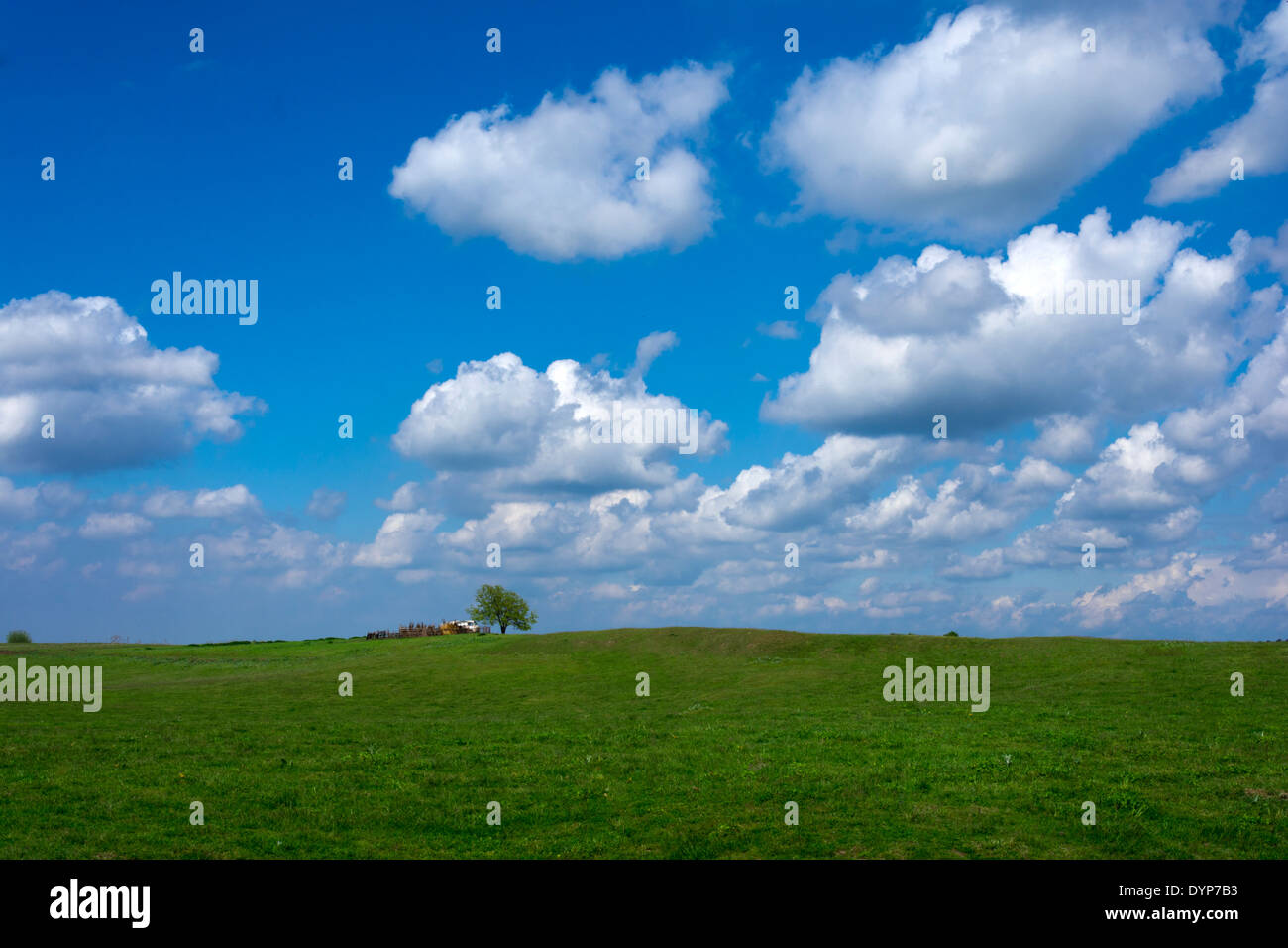Green empty field and white fluffy clouds Stock Photo - Alamy