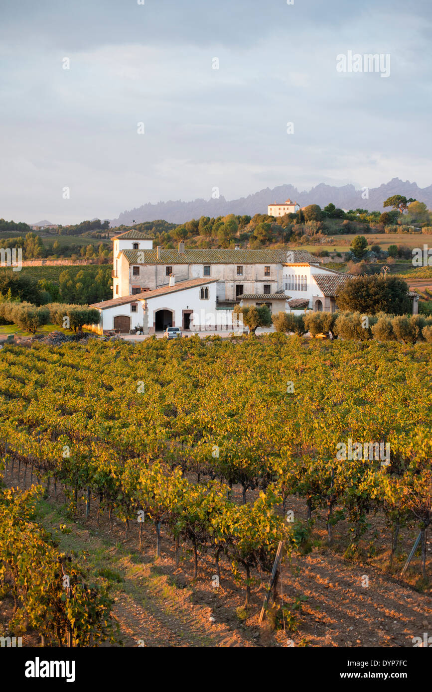 Penedes Spain High Resolution Stock Photography and Images - Alamy