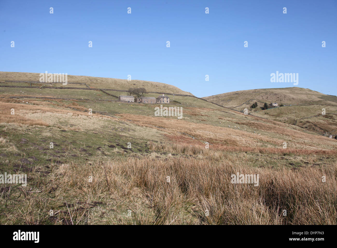 Derbyshire gritstone sheep hi-res stock photography and images - Alamy