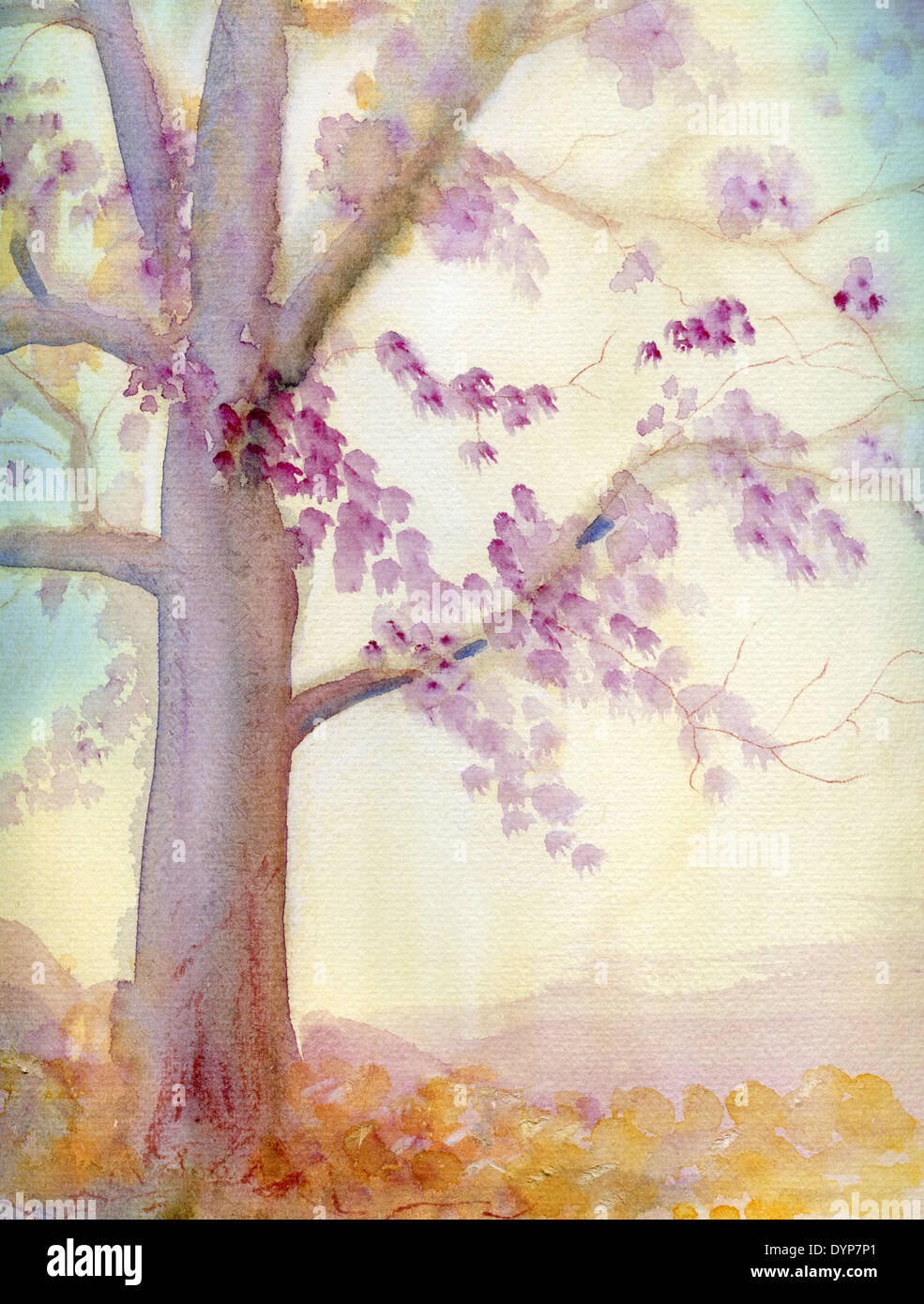 Watercolor Tree Tumblr