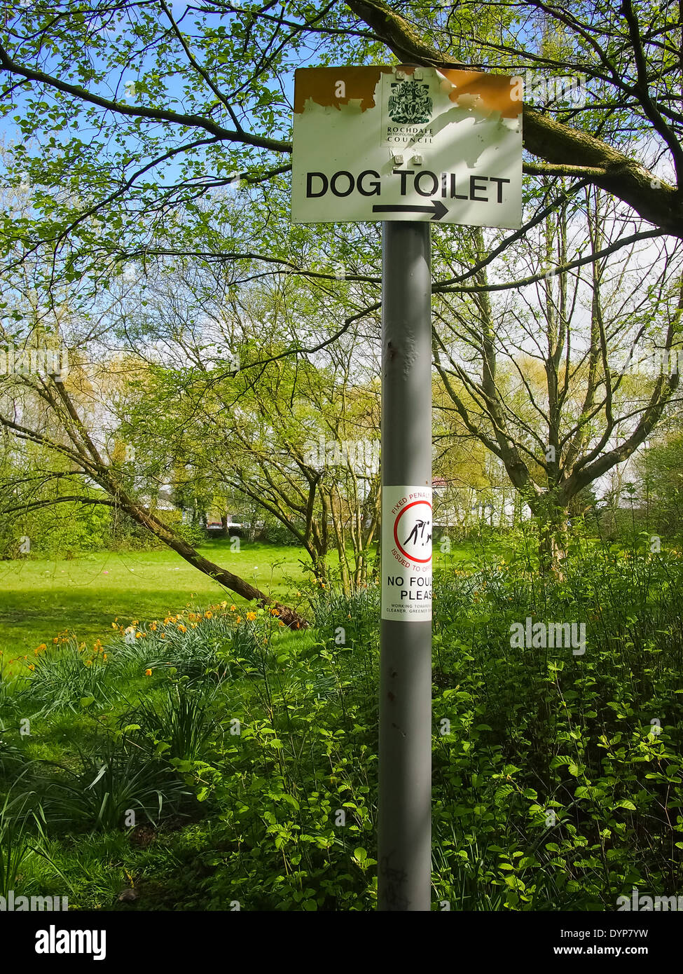 Dog toilet hi-res stock photography and images - Alamy