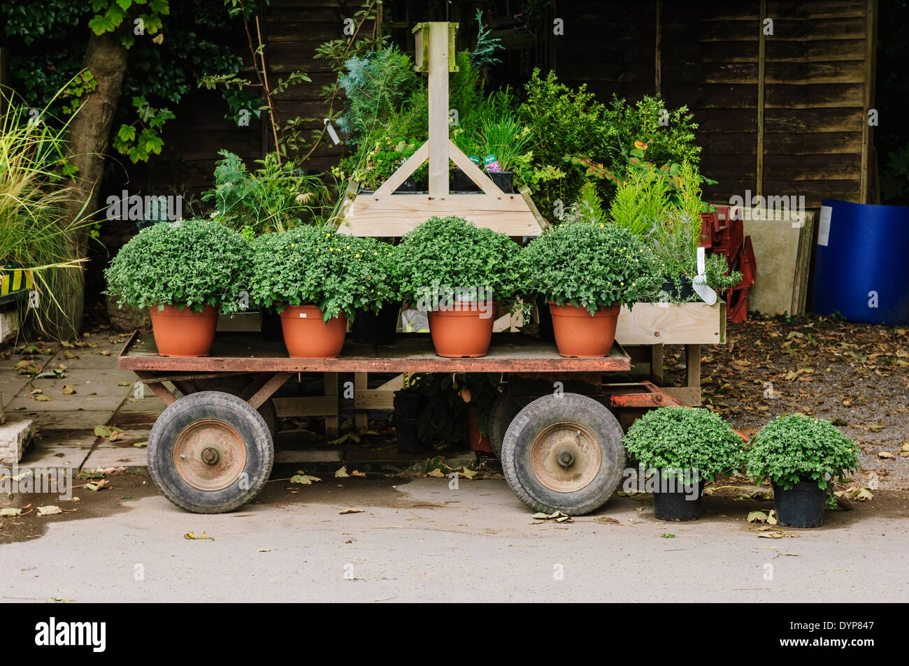 Trolley of plants Stock Photo - Alamy