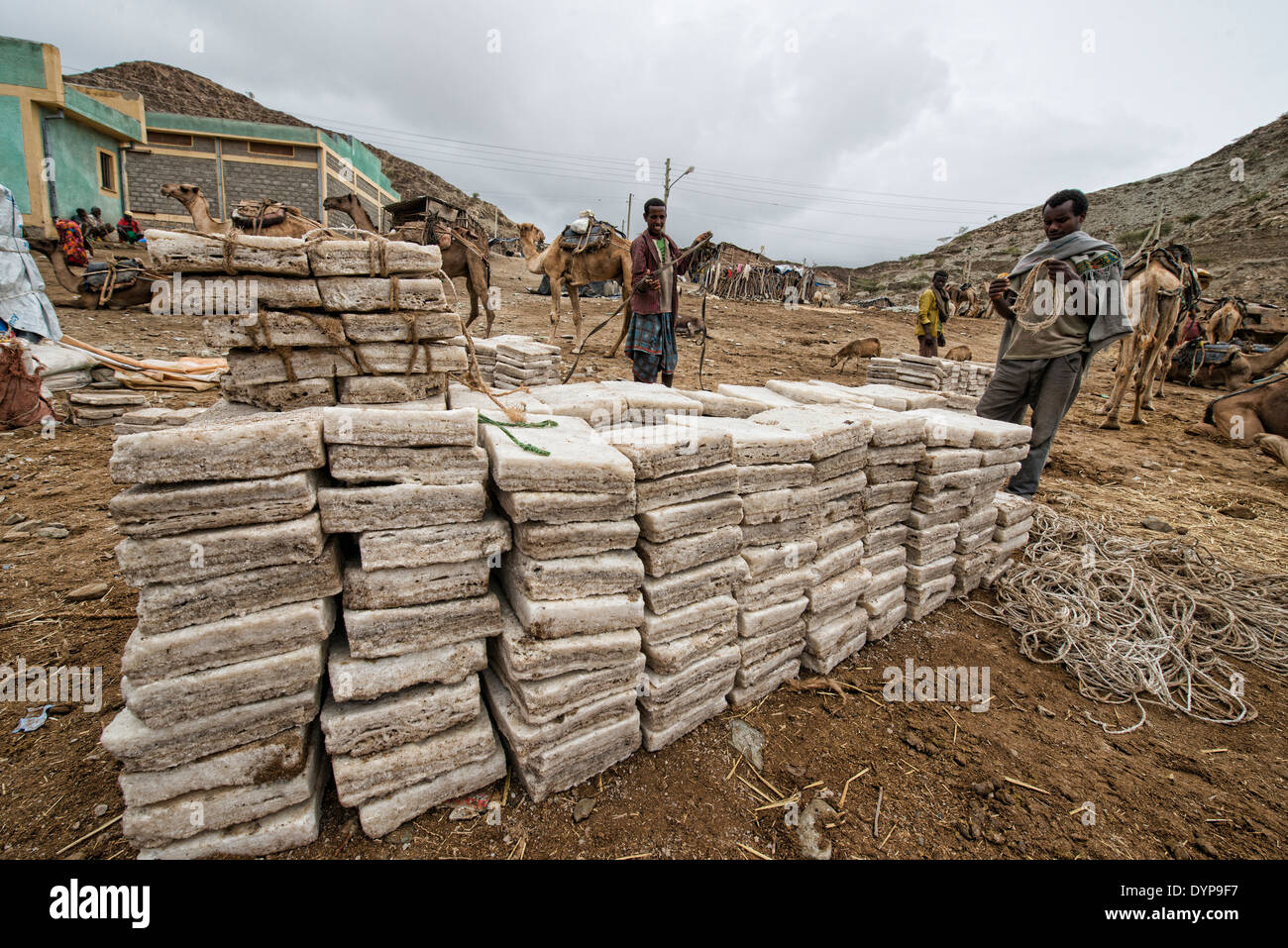 Afar people working the salt mines in the Danakil Depression, Ethiopia ...