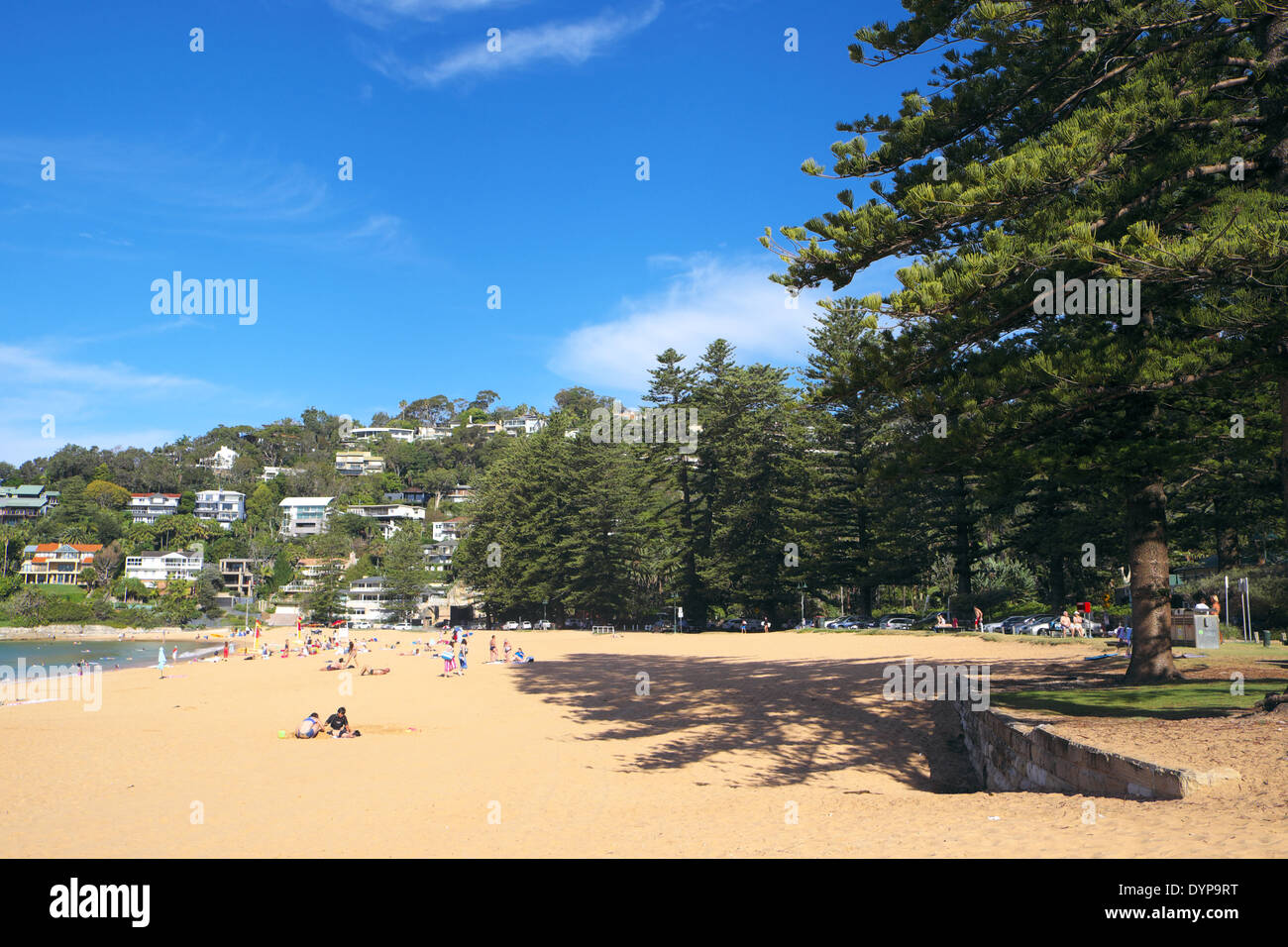 Australian palm tree and beach hi-res stock photography and images - Alamy