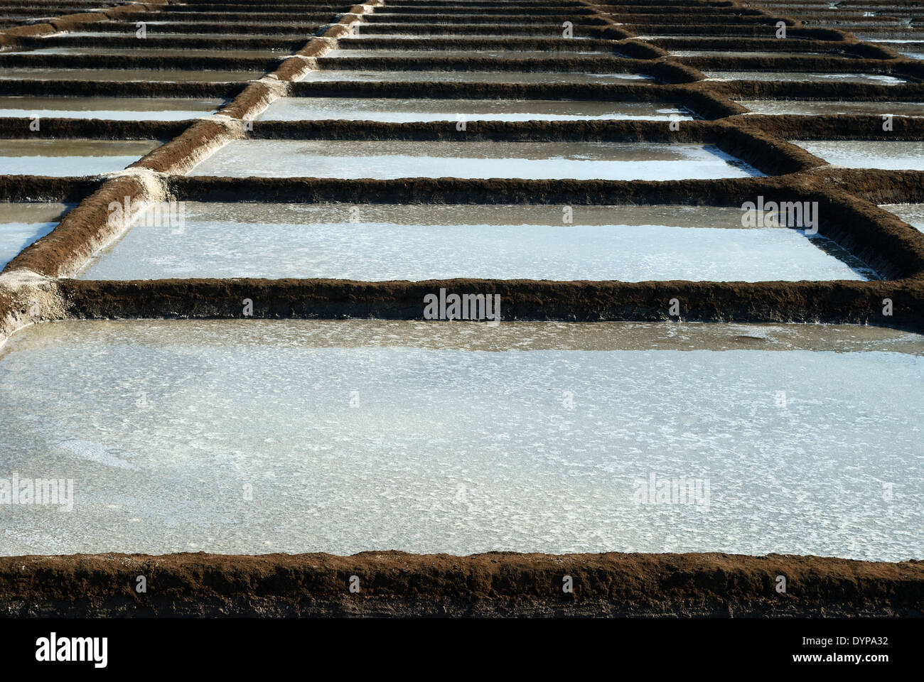 Salt pan india hi-res stock photography and images - Alamy