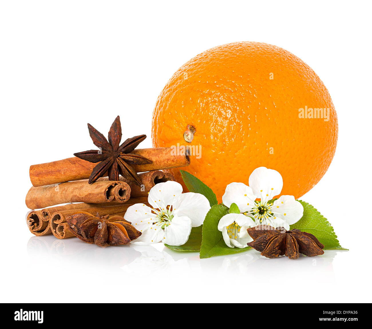 Close up leaves fruit plant Cut Out Stock Images & Pictures - Alamy