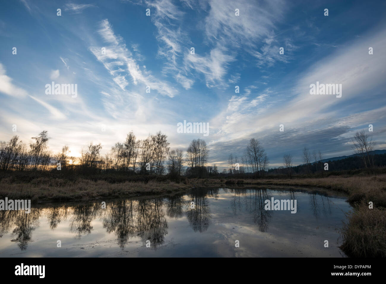 Pond with a reflection of the beautiful landscape Stock Photo - Alamy
